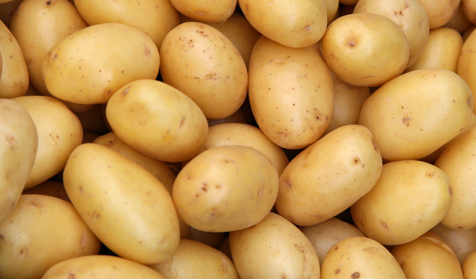 Una nueva papa GMO de la marca Innate en EE.UU.