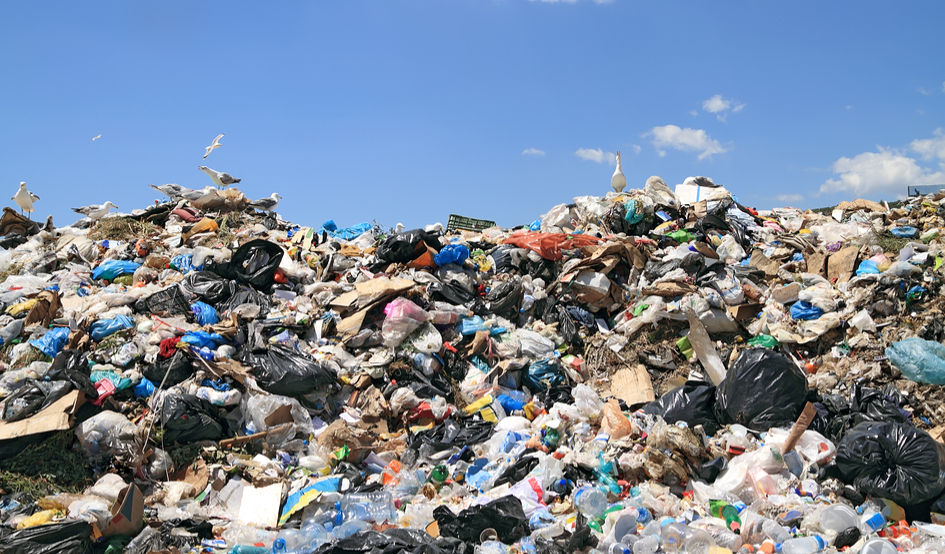 La gestión de la basura